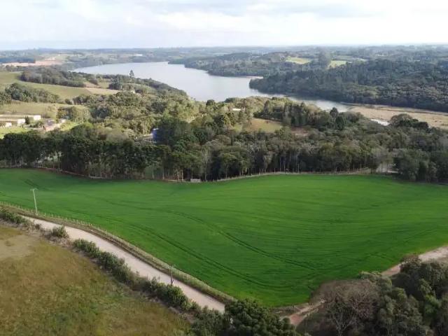 Sítio / Chácara para Venda em Campo Largo/PR Jardim Padre José de Anchieta