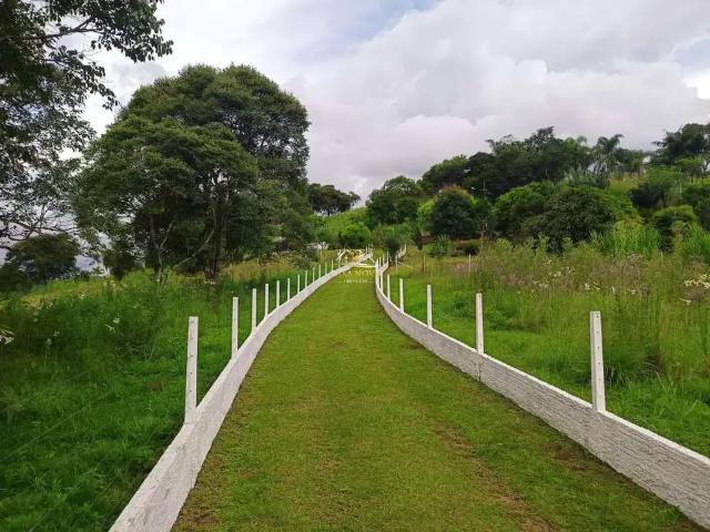 Sítio / Chácara para Venda em Campo Largo/PR São João do Povinho 3 Quartos