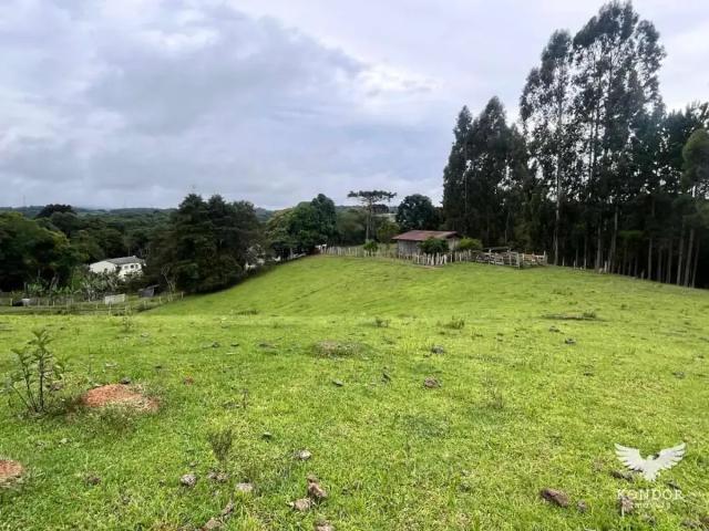 Sítio / Chácara para Venda em Campo Largo/PR São João I