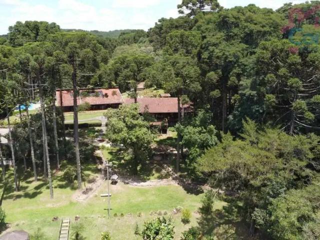 Sítio / Chácara para Venda em Campo Largo/PR Salgadinho 3 Quartos