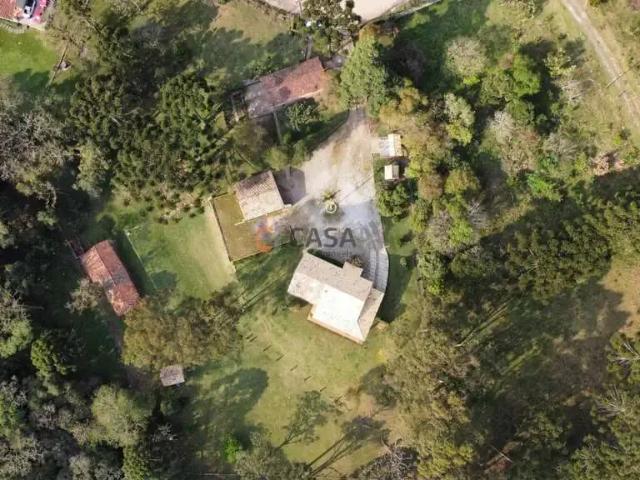 Sítio / Chácara para Venda em Campo Largo/PR Salgadinho 6 Quartos