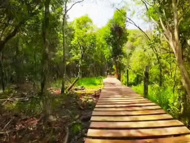 Sítio / Chácara para Venda em Campo Largo/PR Sitio Santa Ana