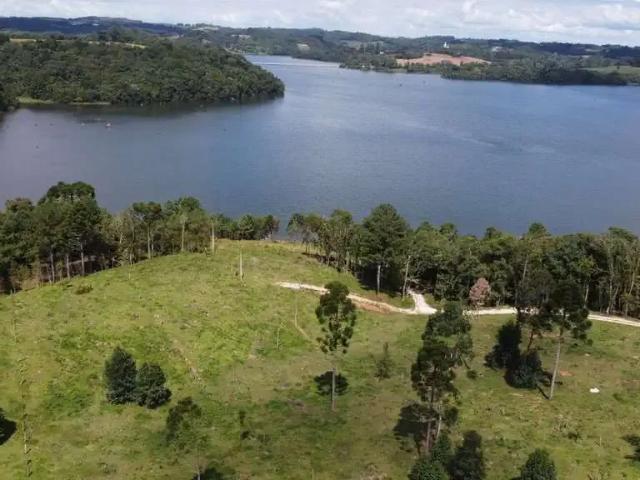 Sítio / Chácara para Venda em Campo Largo/PR Sitio Santa Ana