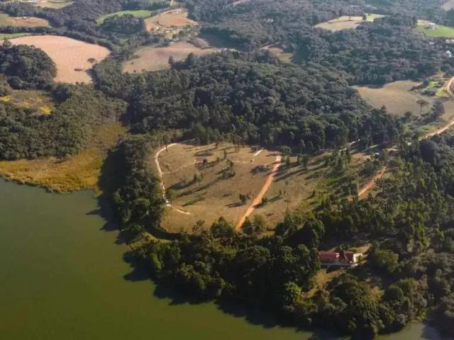 Sítio / Chácara para Venda em Campo Largo/PR Sitio Santa Ana