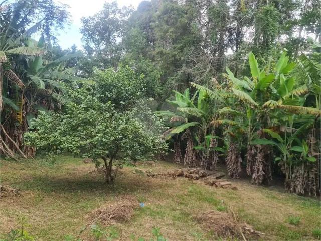 Sítio / Chácara para Venda em Campo Limpo Paulista/SP Pau Arcado 4 Quartos