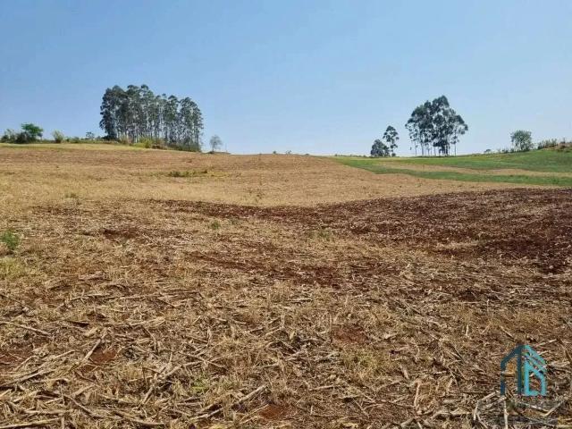 Sítio / Chácara para Venda em Campo Mourão/PR Centro 1 Quartos