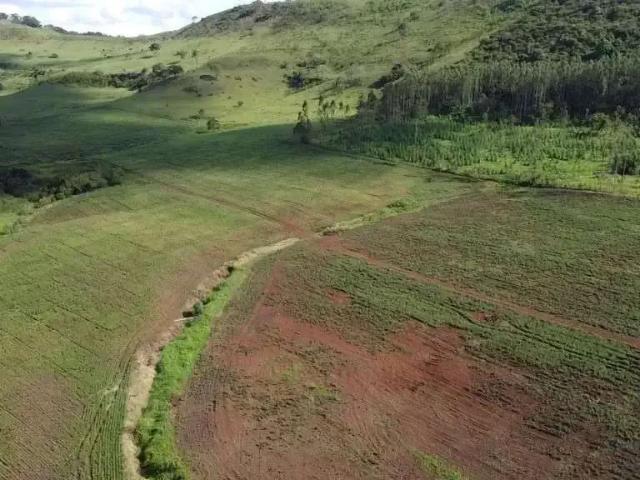 Sítio / Chácara para Venda em Campo Mourão/PR Parque das Acácias