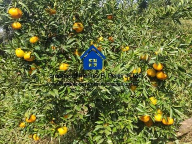 Sítio / Chácara para Venda em Campo Magro, Conceição da Meia Lua, 1 banheiro, 1 vaga