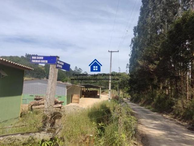 Sítio / Chácara para Venda em Campo Magro, Hervalzinho