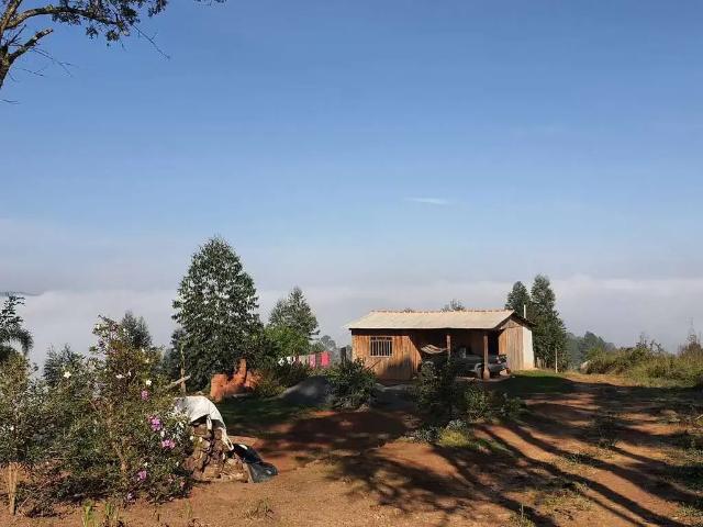 Sítio / Chácara para Venda em Campo Magro/PR Zona Rural 2 Quartos