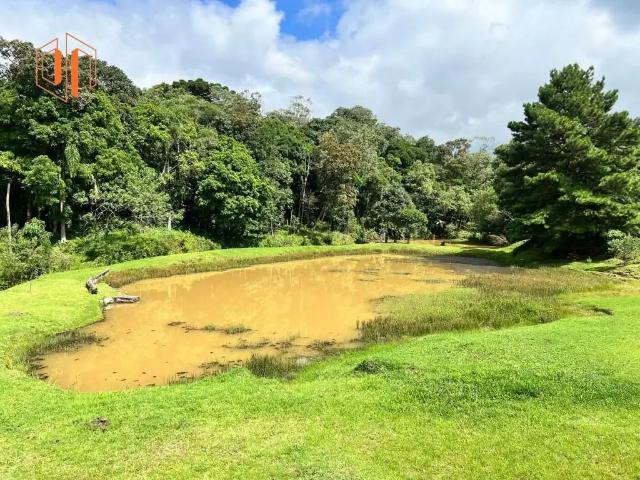 Sítio / Chácara para Venda em Campo Magro/PR Zona Rural