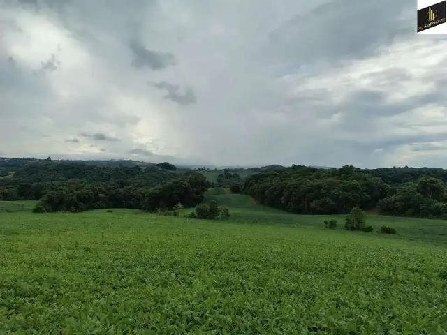 Sítio / Chácara para Venda em Campo Magro/PR Barreiro
