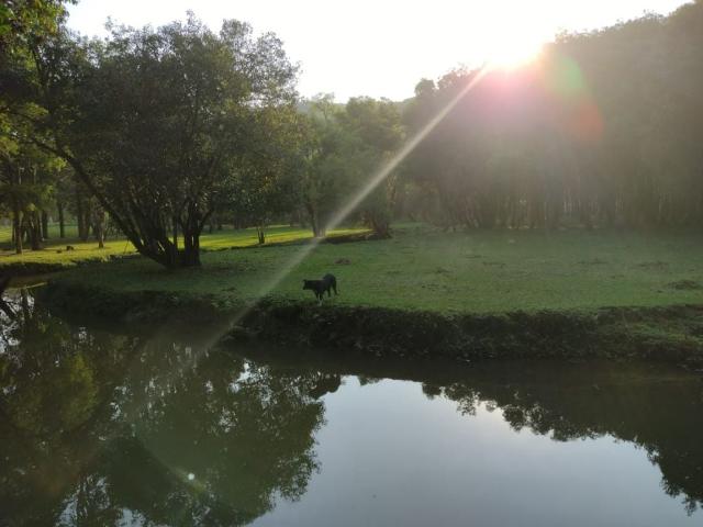 Sítio / Chácara para Venda em Campo Magro/PR Centro 3 Quartos