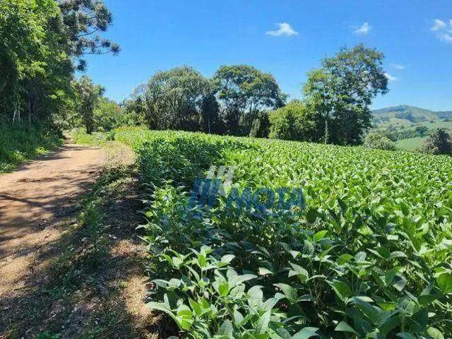 Sítio / Chácara para Venda em Campo Magro/PR Centro 1 Quartos
