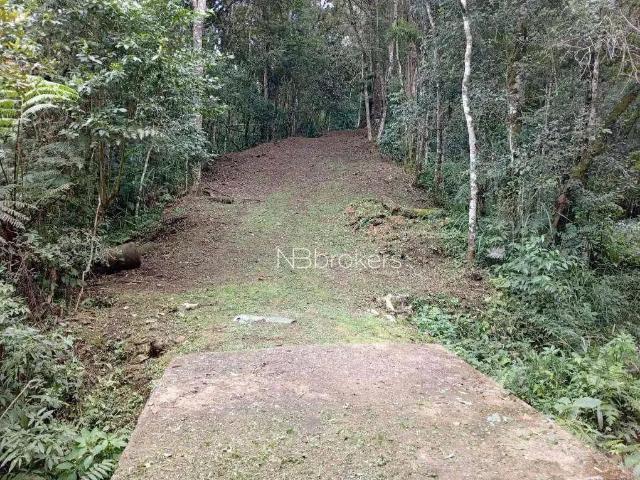Sítio / Chácara para Venda em Campo Magro/PR Centro