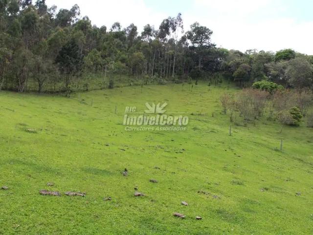 Sítio / Chácara para Venda em Campo Magro/PR Centro