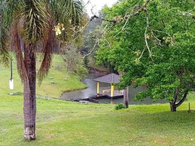 Sítio / Chácara para Venda em Campo Magro/PR Centro 5 Quartos