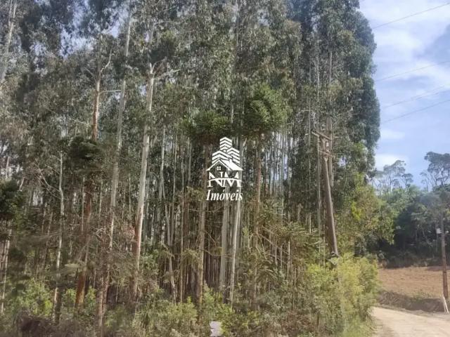 Sítio / Chácara para Venda em Campo Magro/PR Ervalzinho