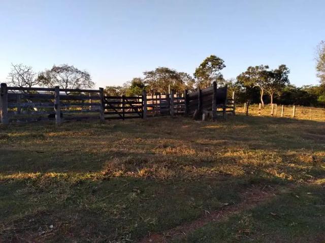 Sítio / Chácara para Venda em Campo Verde/MT Zona Rural 4 Quartos