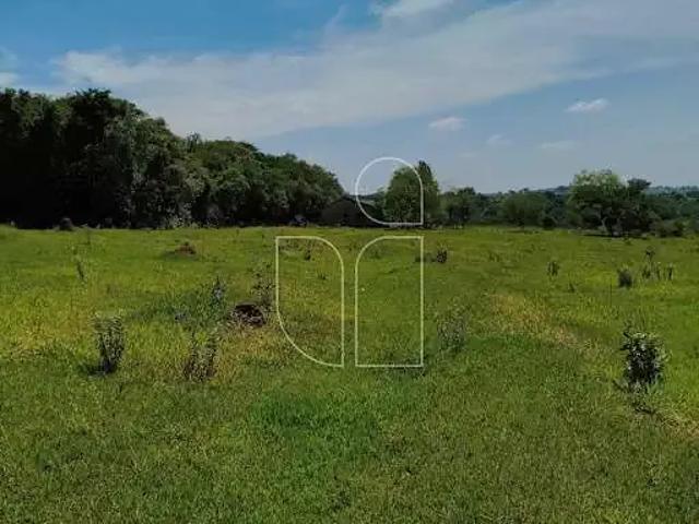 Sítio / Chácara para Venda em Campos Novos Paulista/SP Zona Rural