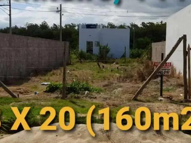 Sítio / Chácara para Venda em Campos dos Goytacazes/RJ Donana