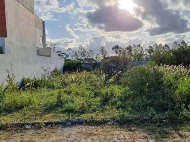 Sítio / Chácara para Venda em Campos dos Goytacazes/RJ Jardim Botânico