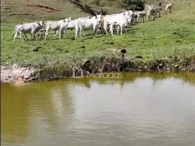 Sítio / Chácara para Venda em Campos dos Goytacazes/RJ Serrinha 2 Quartos