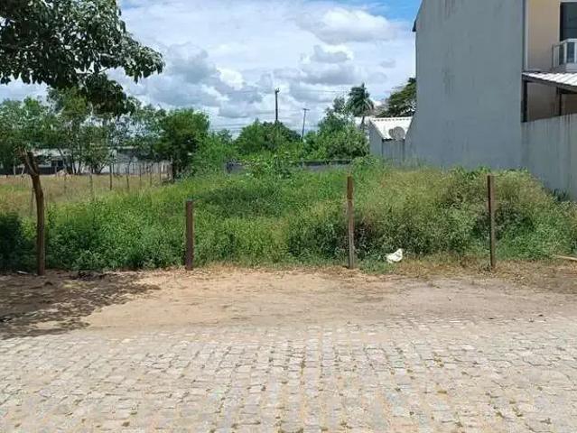 Sítio / Chácara para Venda em Campos dos Goytacazes/RJ Parque São Caetano