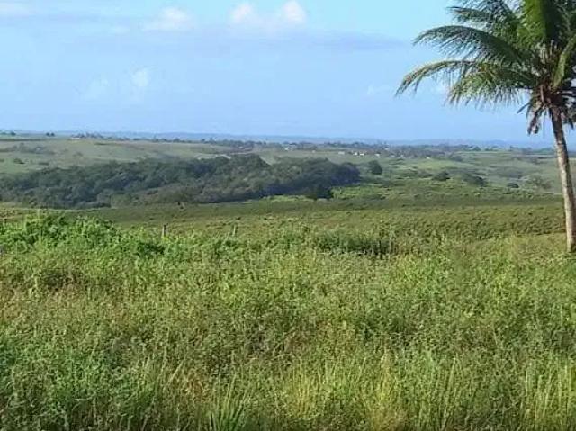 Sítio / Chácara para Venda em Campos dos Goytacazes/RJ Ururaí