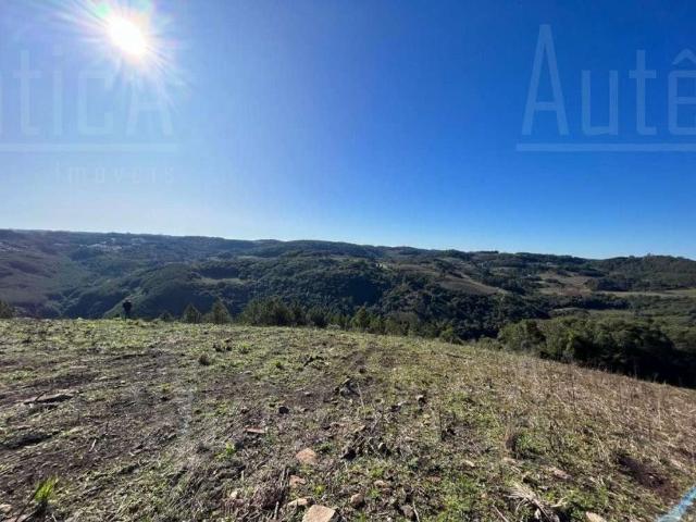 Sítio / Chácara para Venda em Campestre da Serra/RS Zona Rural