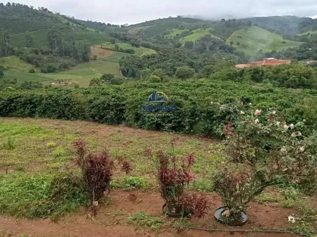 Sítio / Chácara para Venda em Campestre/AL Zona Rural 3 Quartos