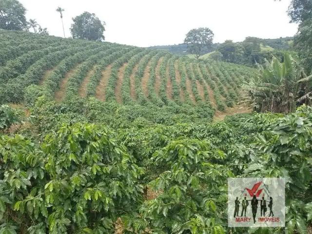 Sítio / Chácara para Venda em Campestre/MG Centro