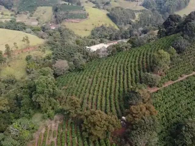 Sítio / Chácara para Venda em Campestre/MG Zona Rural