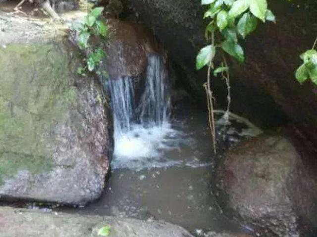 Sítio / Chácara para Venda em Campestre/MG Zona Rural