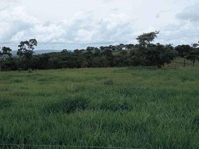 Sítio / Chácara para Venda em Campina Verde/MG Centro