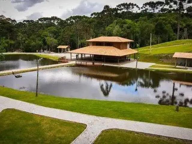 Sítio / Chácara para Venda em Campina Grande do Sul/PR Centro 1 Quartos