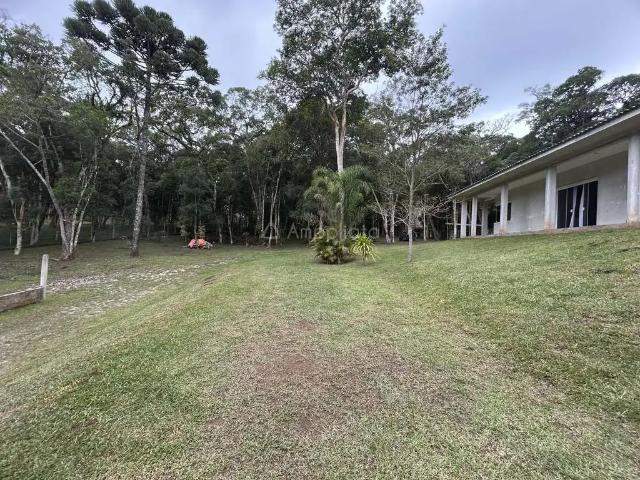 Sítio / Chácara para Venda em Campina Grande do Sul/PR Centro 3 Quartos