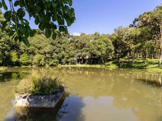 Sítio / Chácara para Venda em Campina Grande do Sul/PR Centro 3 Quartos