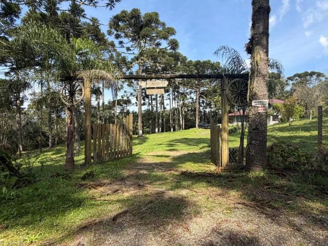 Sítio / Chácara para Venda em Campina Grande do Sul/PR Cerne de Cima 4 Quartos