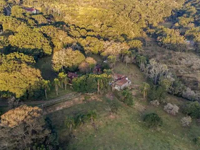 Sítio / Chácara para Venda em Campina Grande do Sul/PR Cerne Papanduva 3 Quartos