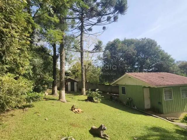 Sítio / Chácara para Venda em Campina Grande do Sul/PR Chácaras Olhos Dágua 2 Quartos