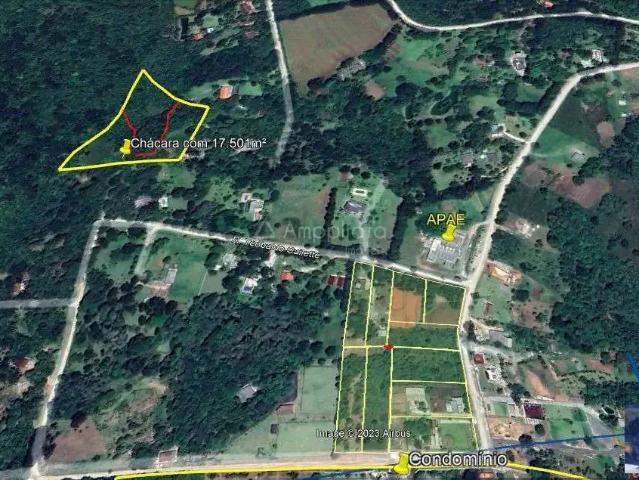 Sítio / Chácara para Venda em Campina Grande do Sul/PR Chácaras Olhos Dágua