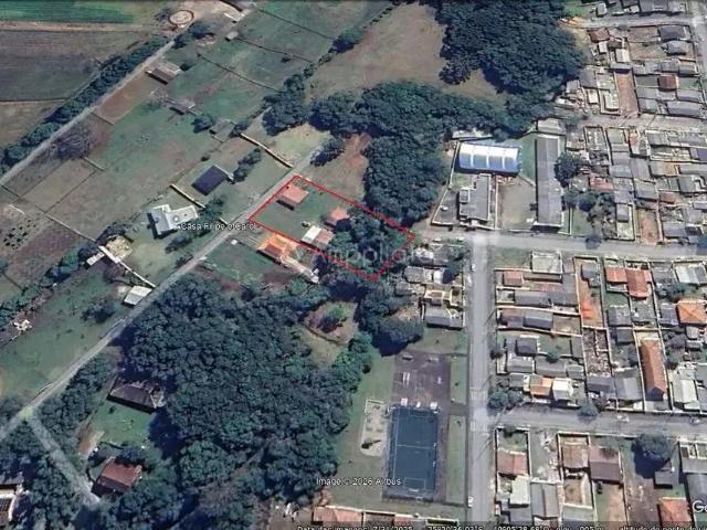 Sítio / Chácara para Venda em Campina Grande do Sul/PR Eugenia Maria 4 Quartos