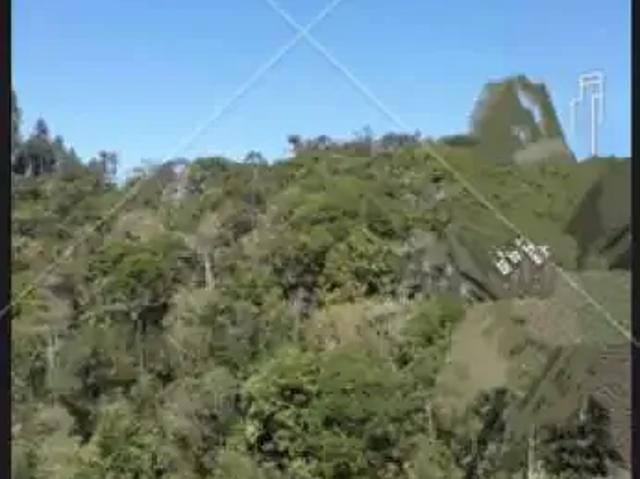 Sítio / Chácara para Venda em Campina Grande do Sul/PR Jardim Colina