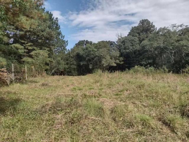 Sítio / Chácara para Venda em Campina Grande do Sul/PR Jardim Santa Rita de Cássia
