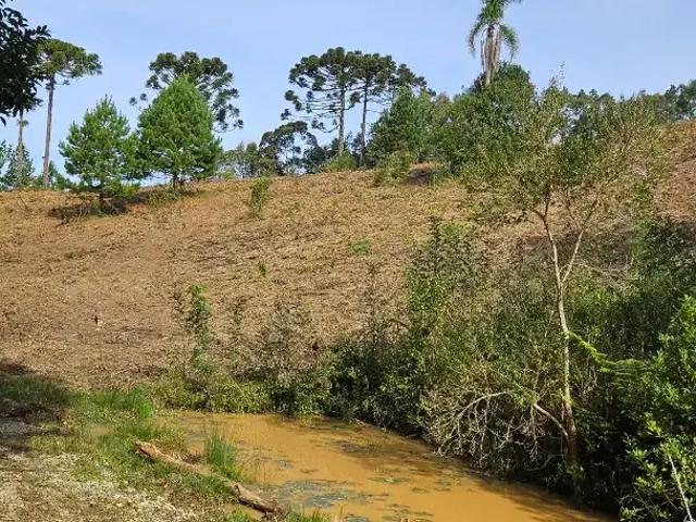 Sítio / Chácara para Venda em Campina Grande do Sul/PR Mandaçaia