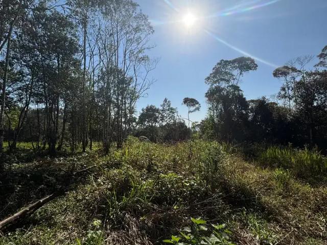 Sítio / Chácara para Venda em Campina Grande do Sul/PR Saltinho