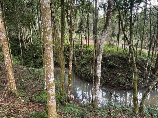 Sítio / Chácara para Venda em Campina Grande do Sul/PR Saltinho