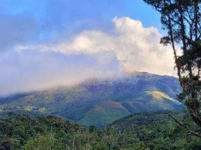Sítio / Chácara para Venda em Campina Grande do Sul/PR Paiol De Baixo