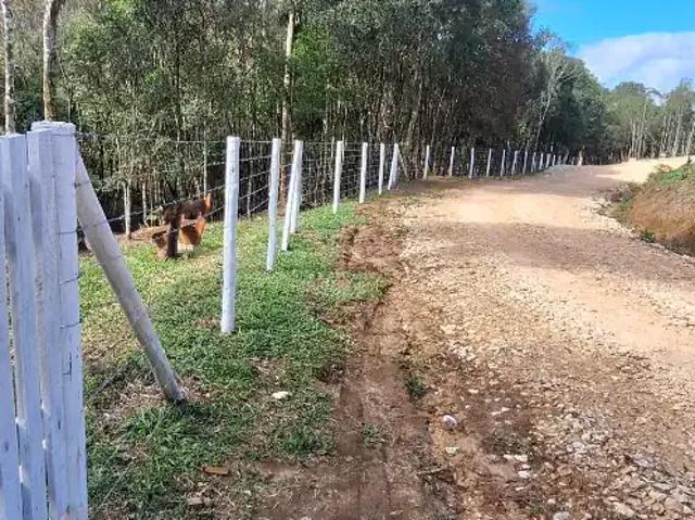 Sítio / Chácara para Venda em Campina Grande do Sul/PR Roseira